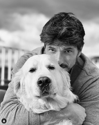The Cutest Pets of Hollywood Celebrities – My Social Pet Work